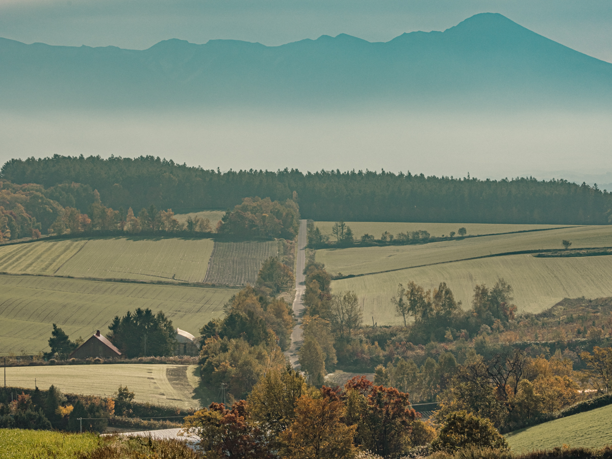 COMPANY | RENOW(リナウ)